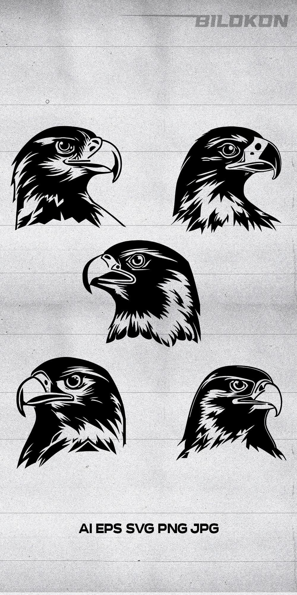 Falcon head , Eagle head, Bird head icon, logo, SVG Vector