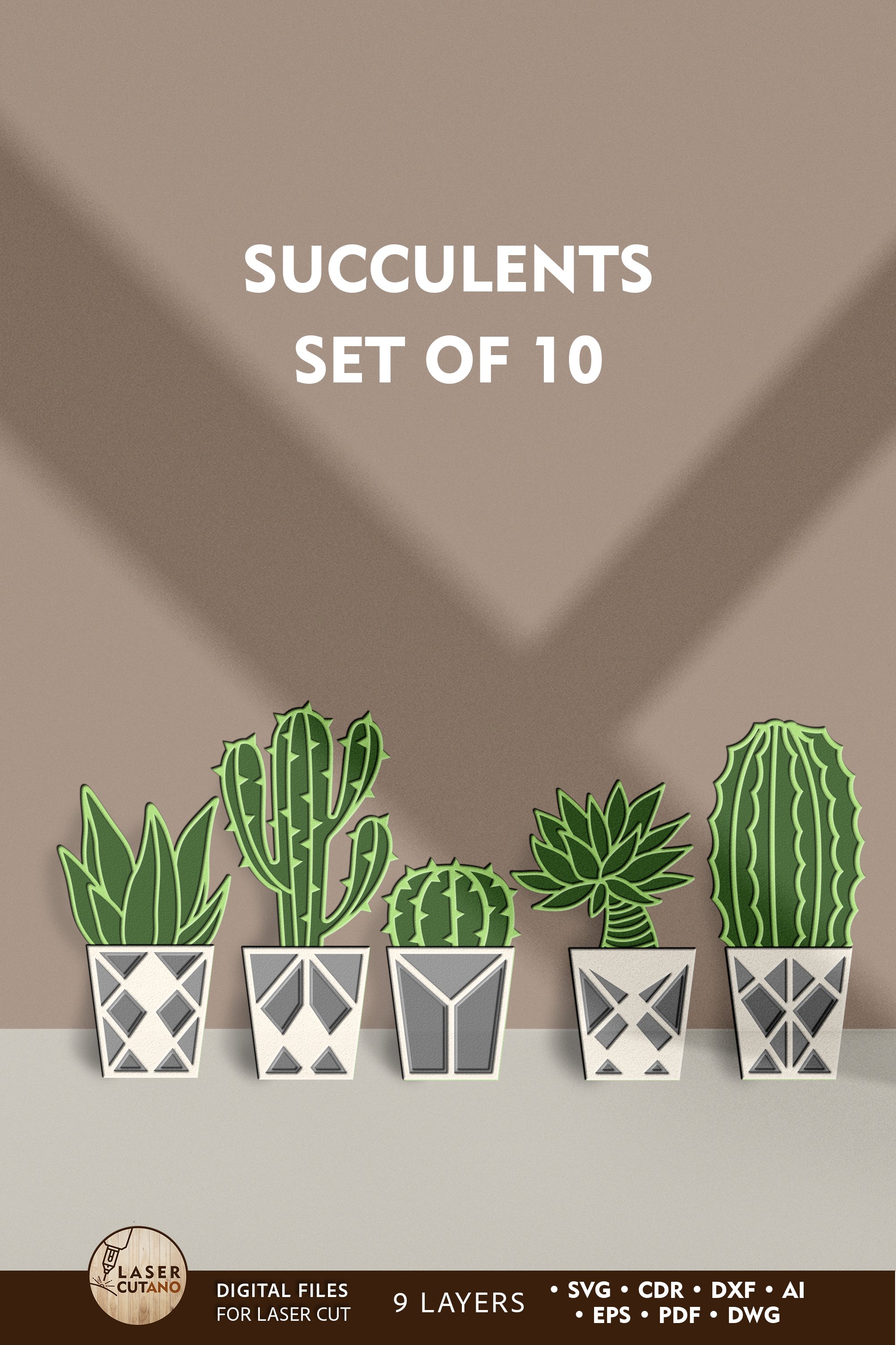 Succulent Bundle Multilayer CACTUS SET OF 10