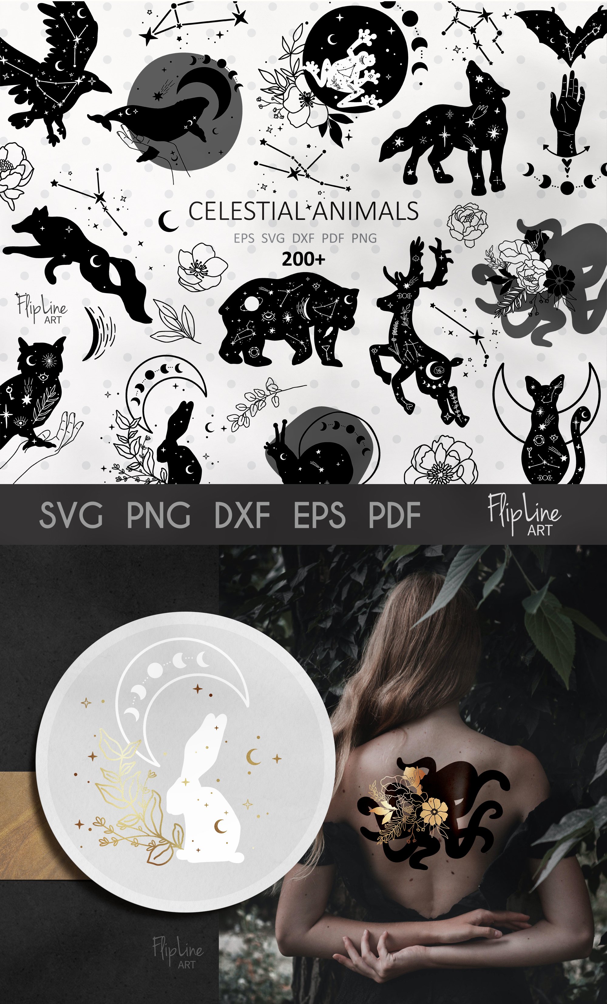 Celestial Animals SVG & PNG bundle clipart, Woodland animals