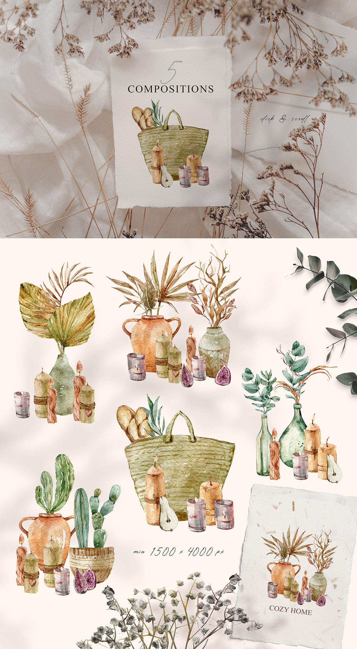 Watercolor tropical potted plants clipart- 5 png files