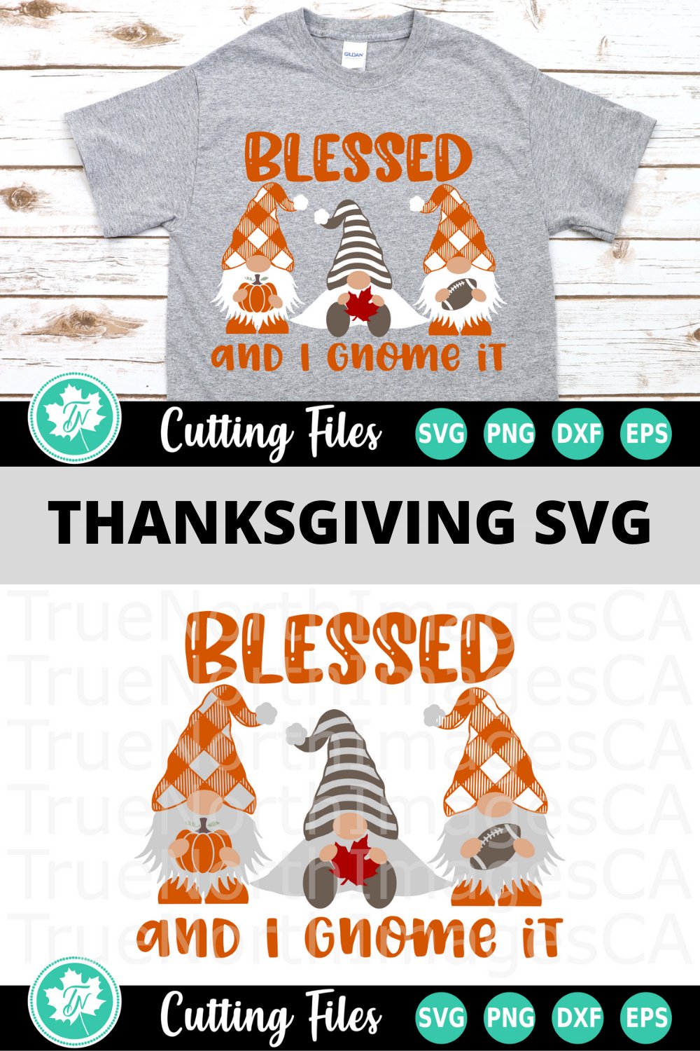 Thanksgiving SVG | Blessed SVG | Gnomes SVG