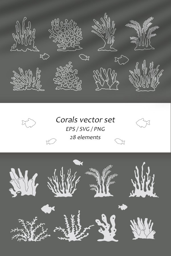 Corals vector set