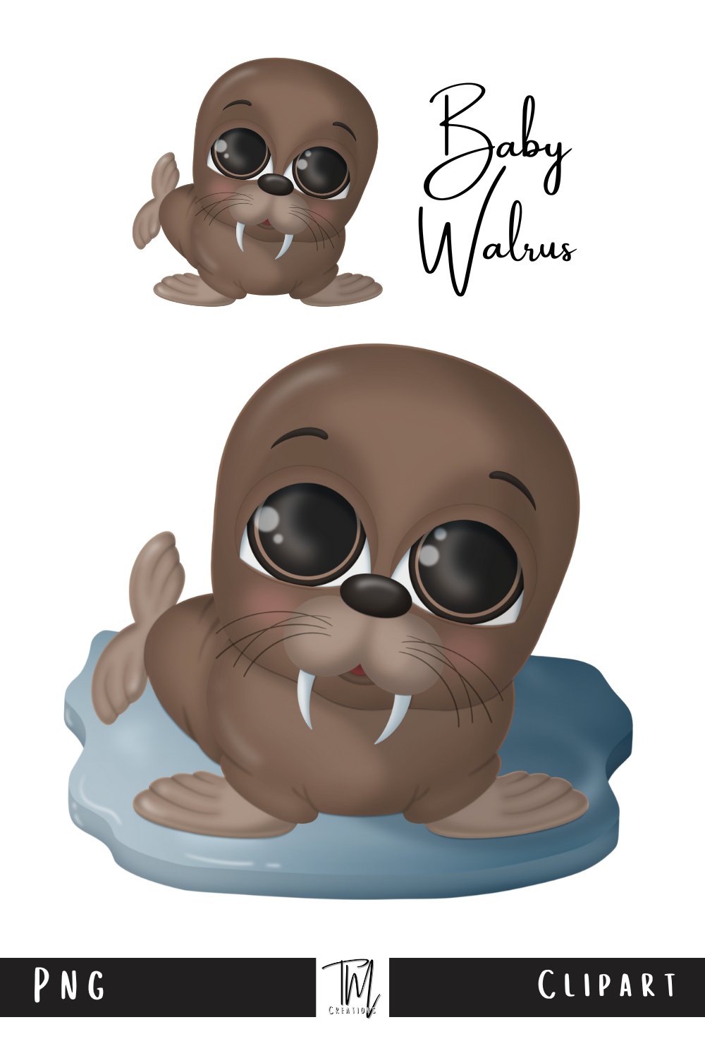 Cute Walrus Clipart Png Graphic