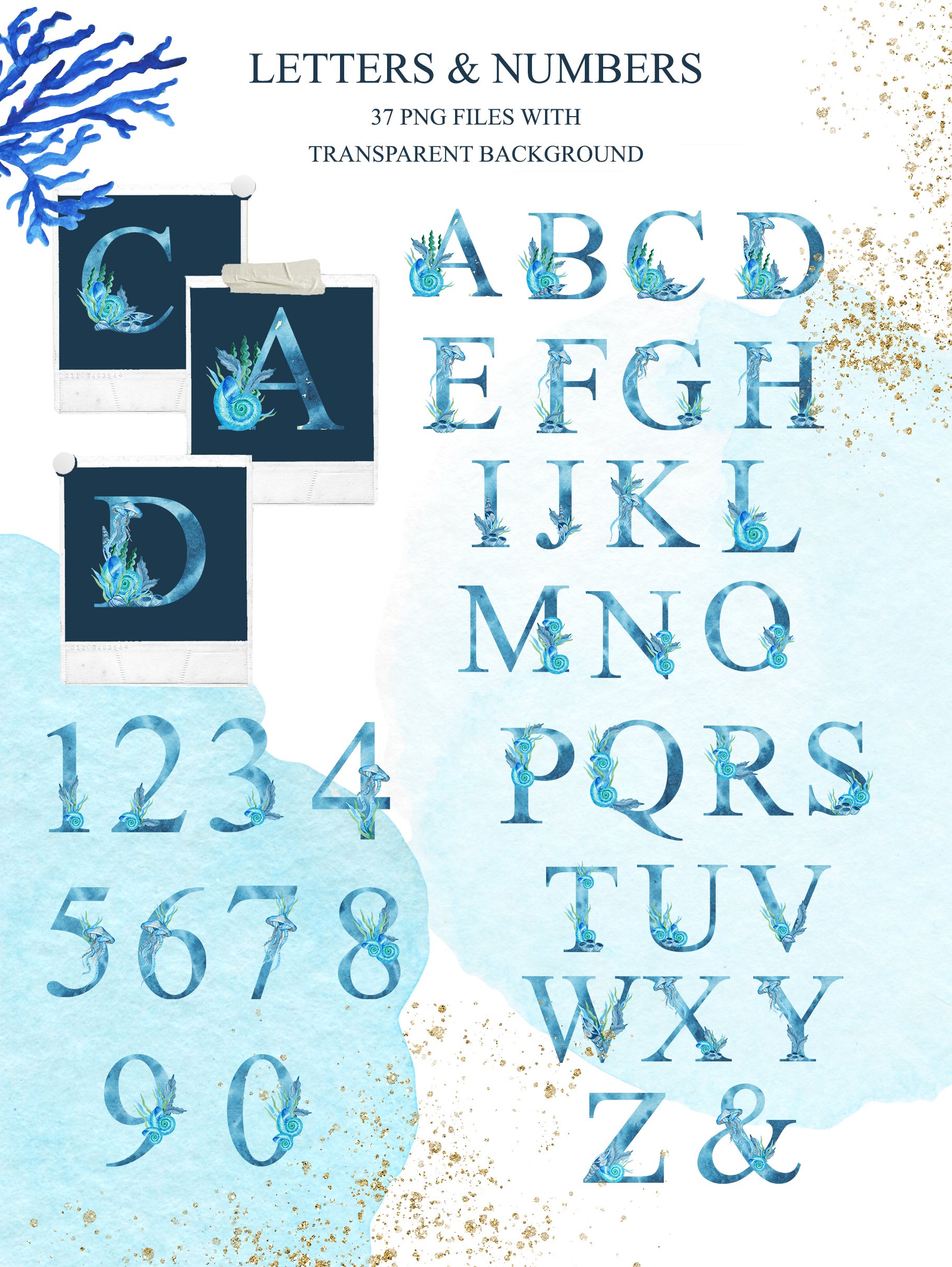 Watercolor alphabet and numbers with marine life seashells.