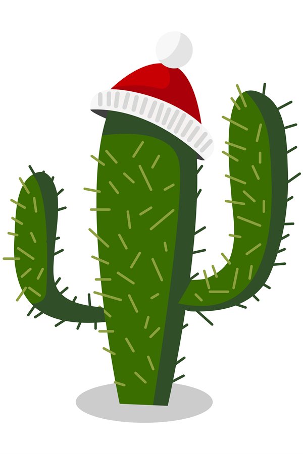 Cactus in winter hat. Christmas succulent in cartoon style