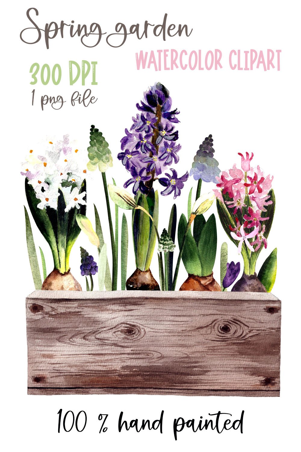 Watercolor spring garden clipart. Spring flowers (1899847)