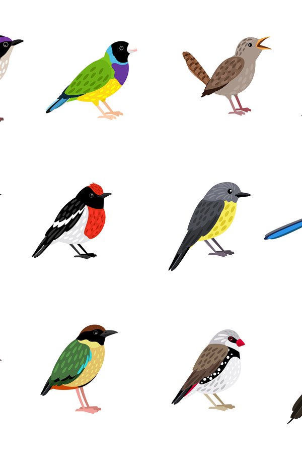 Beautiful flying bird set