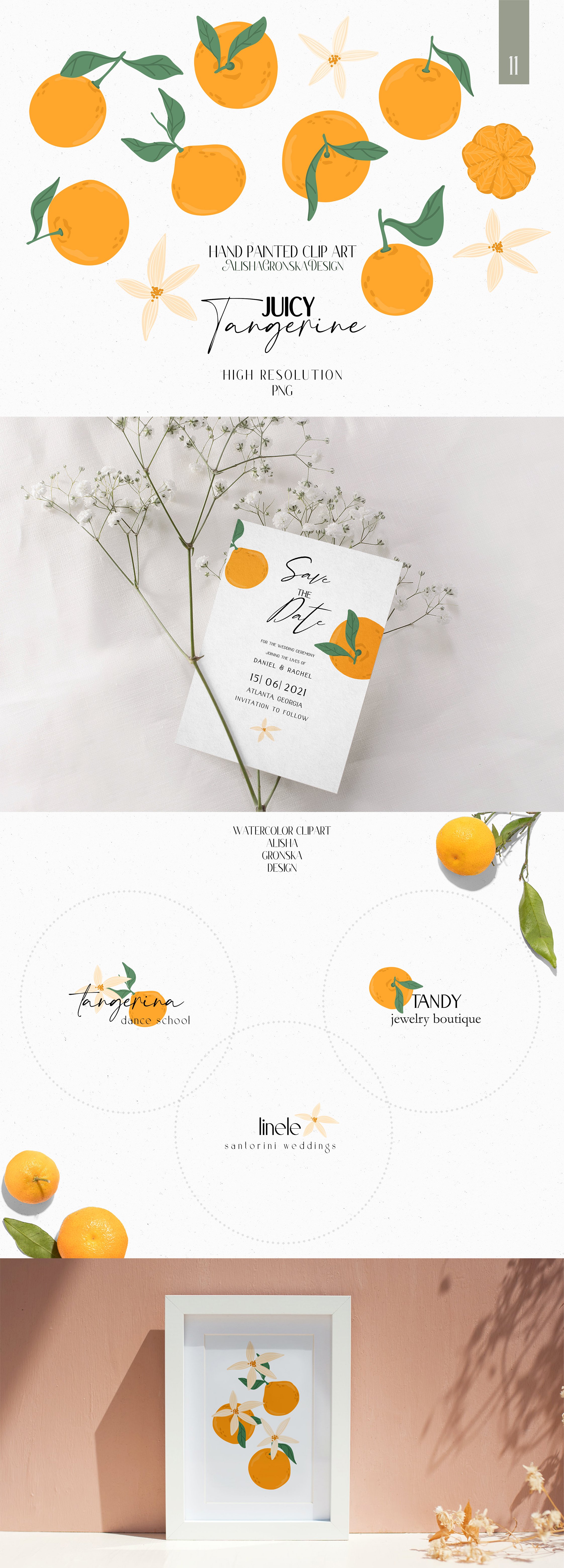 Juicy Mandarine Digital Clipart - Tangerine Print PNG