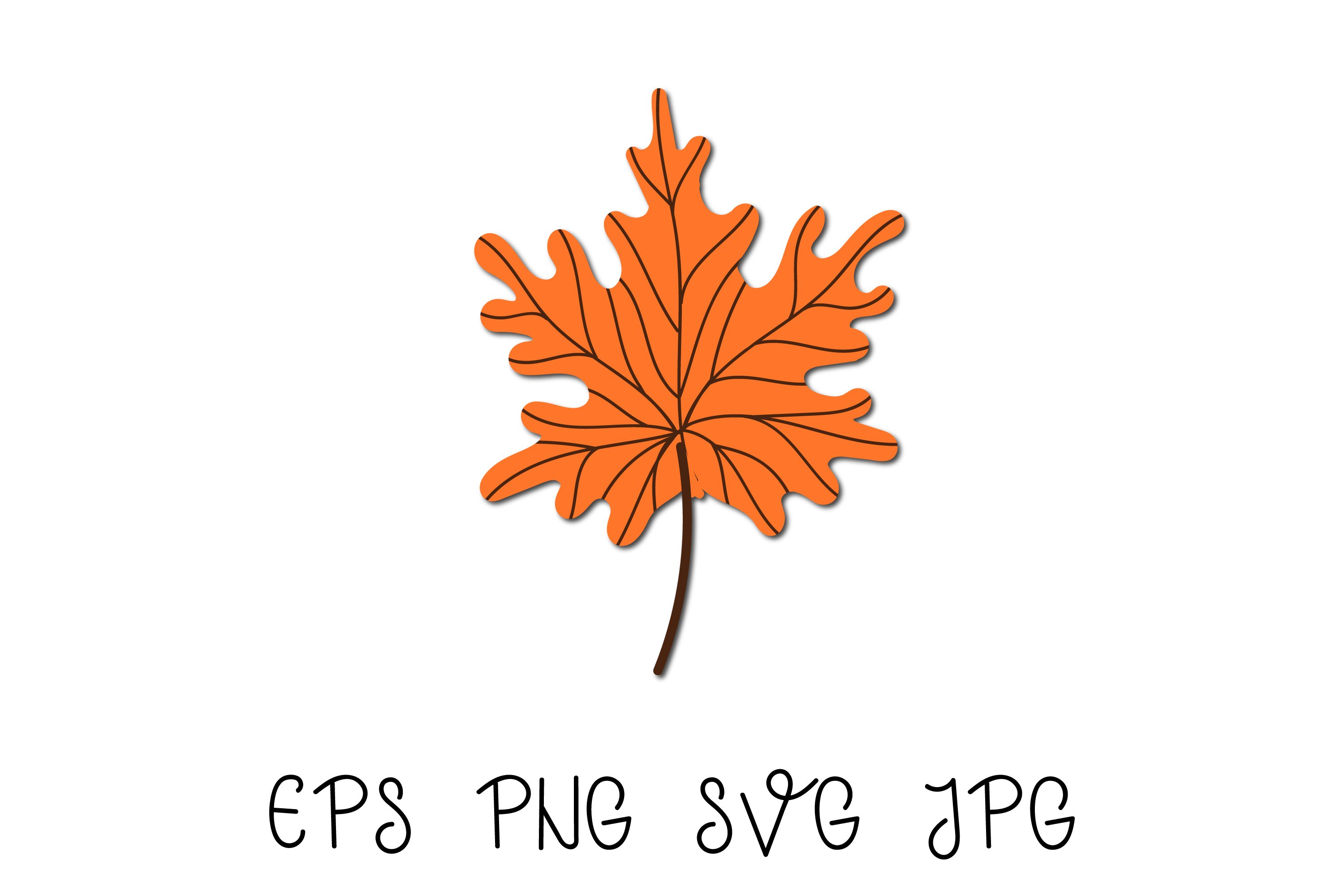 Autumn leaves SVG|Fall SVG | Autumn SVG| leaves printable
