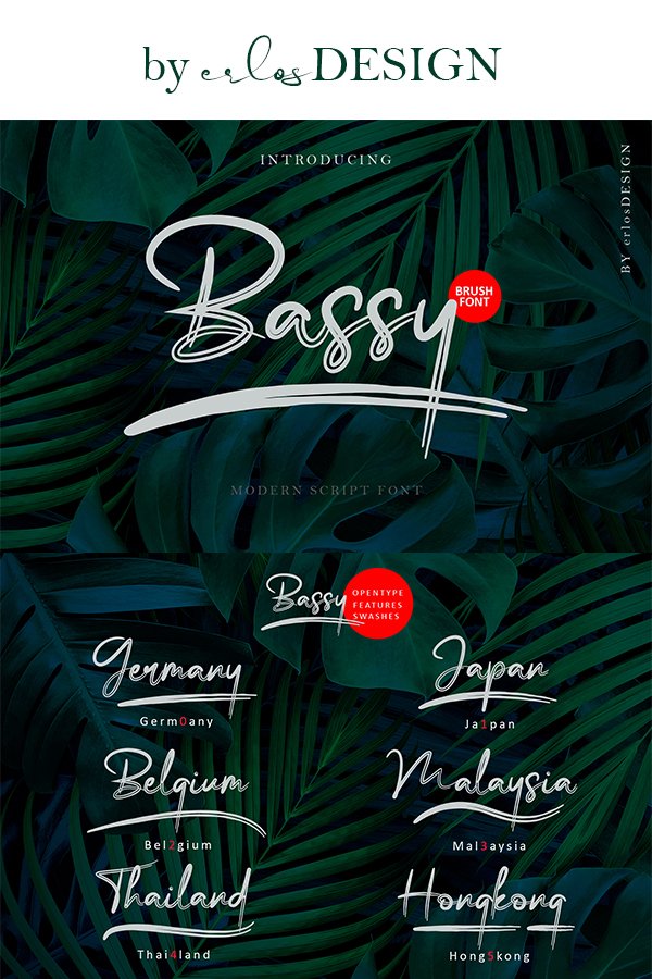 Bassy Font (1055502)