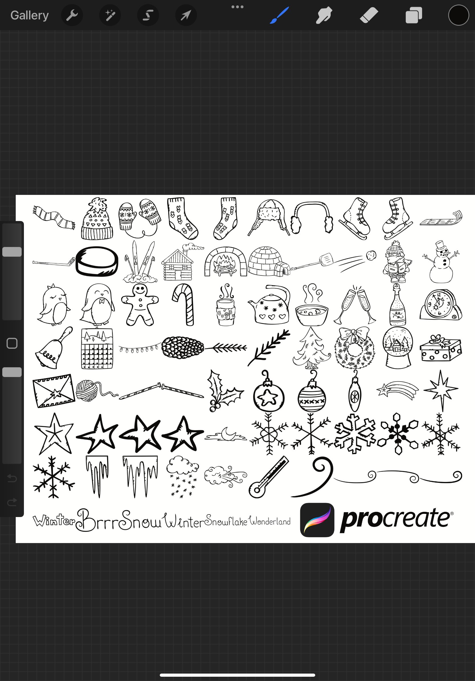 Christmas Winter Elements Procreate Brush Stamps (2321117)