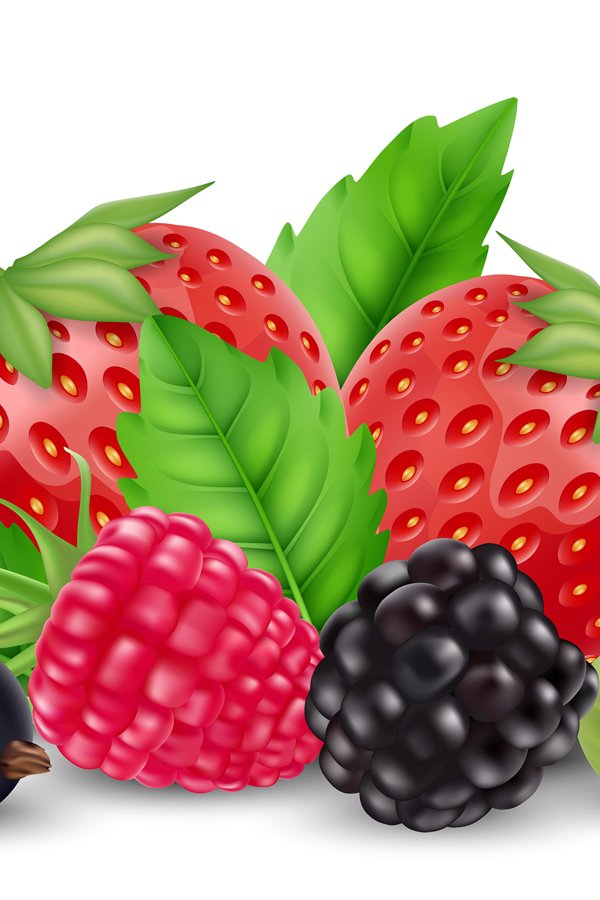 Realistic berries vector. Strawberry, raspberry, goose berry