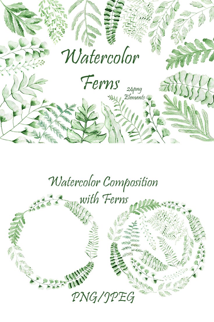 Watercolor Ferns Greenery Clipart.