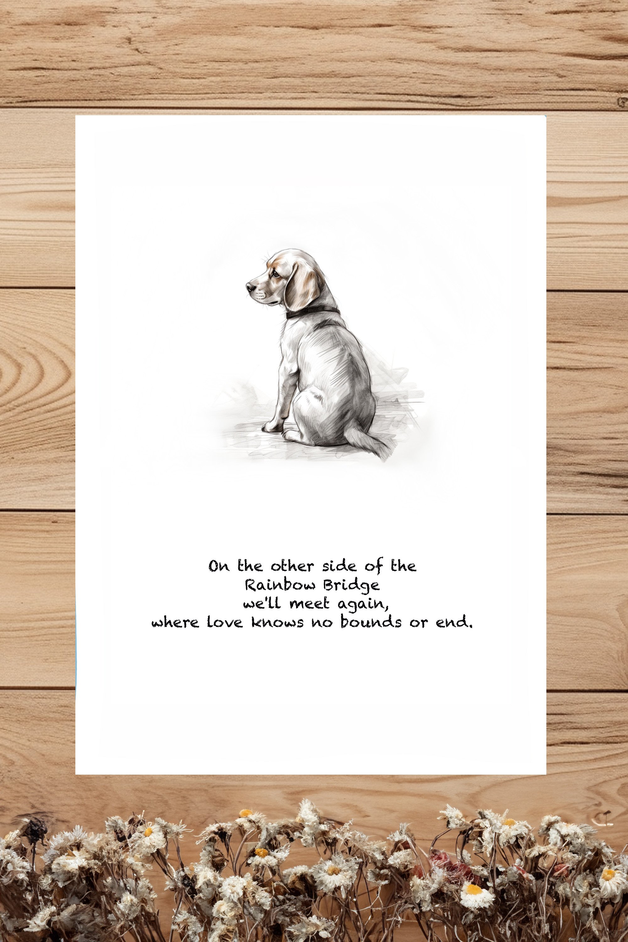 Condolence Messages For Loss Of Dog - Infoupdate.org