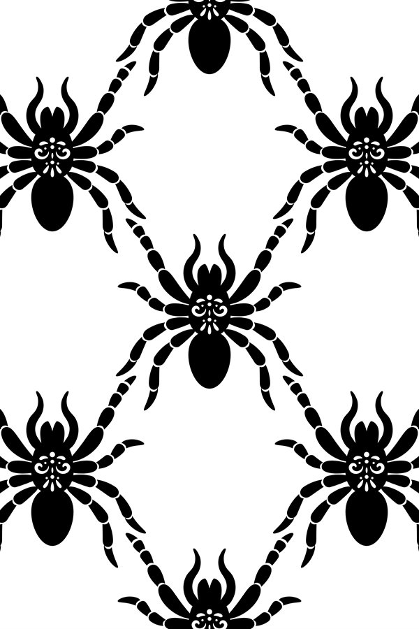 Spider web pattern (771077)