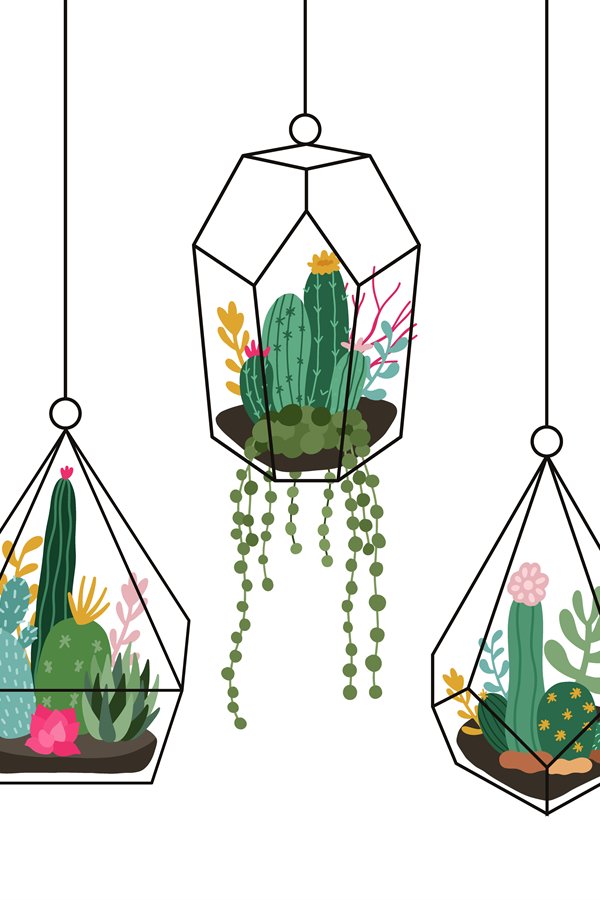 Doodle hanging terrarium. Succulents and cactuses glass