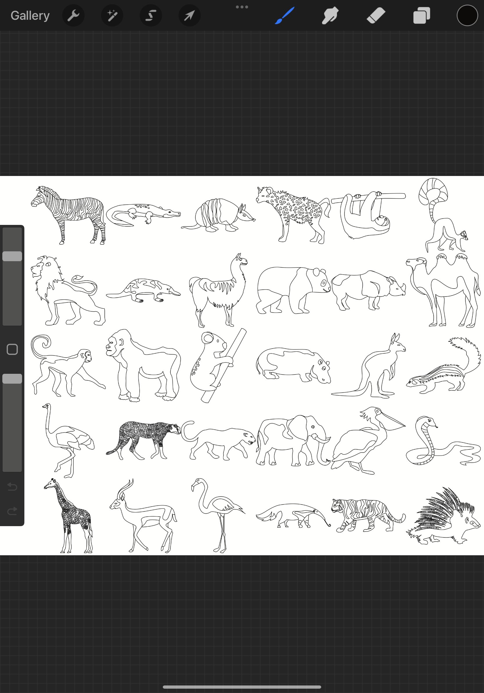 African Animals Outlines Set 1 Procreate Brush Stamps, 30