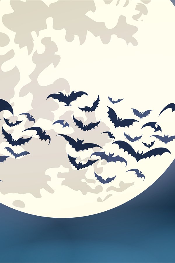 Halloween moon with flying bats