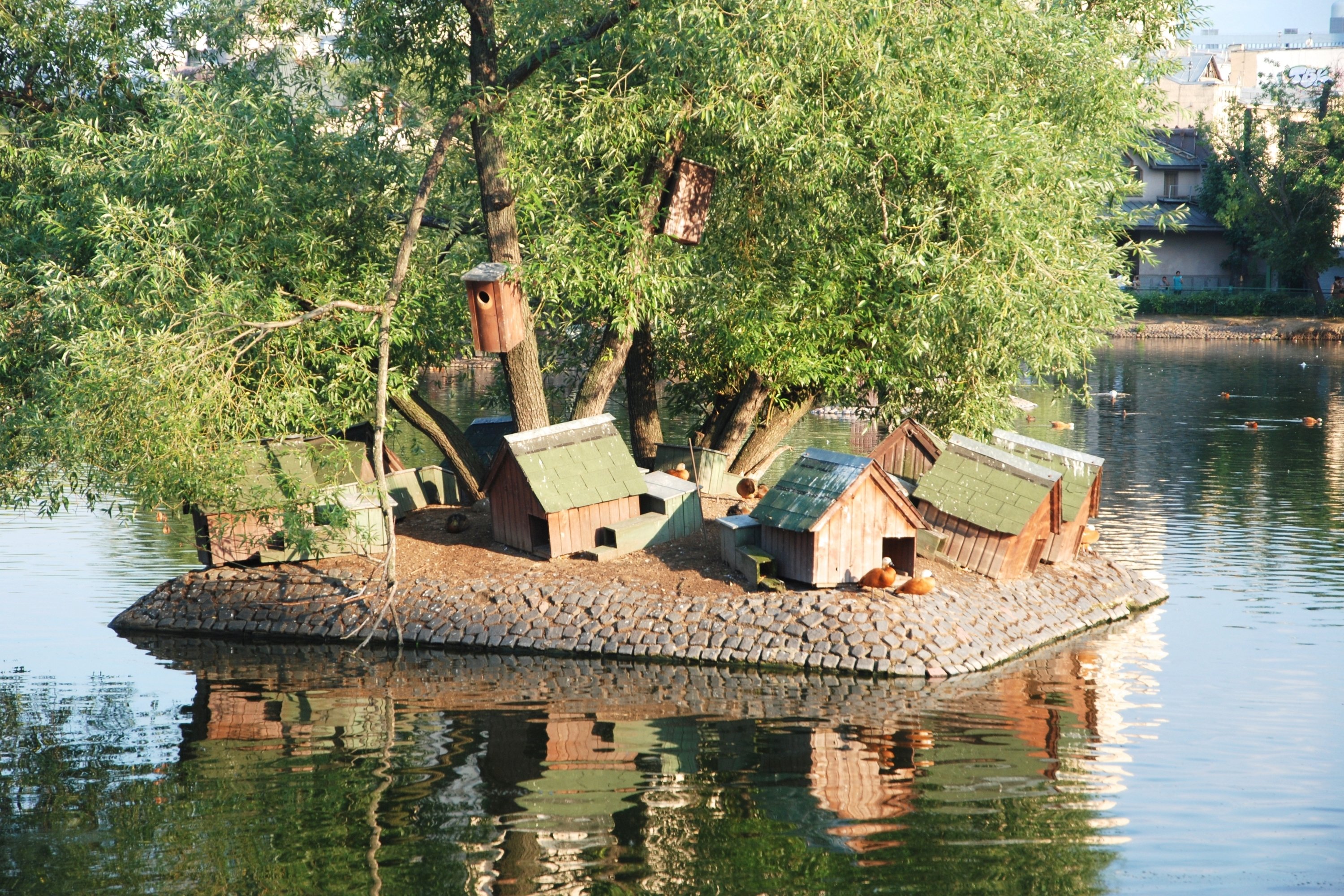 Houses for animals on the water.