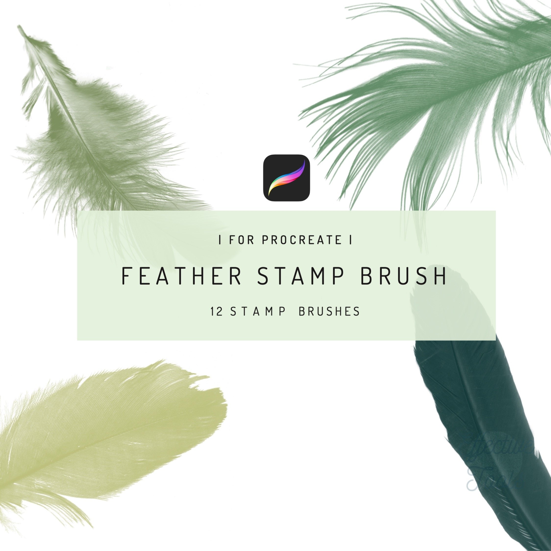 12 Procreate Feather Stamp Brush