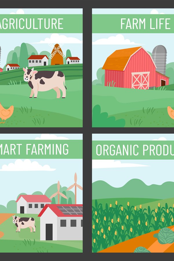Farm banners. Posters with countryside agriculture landscape