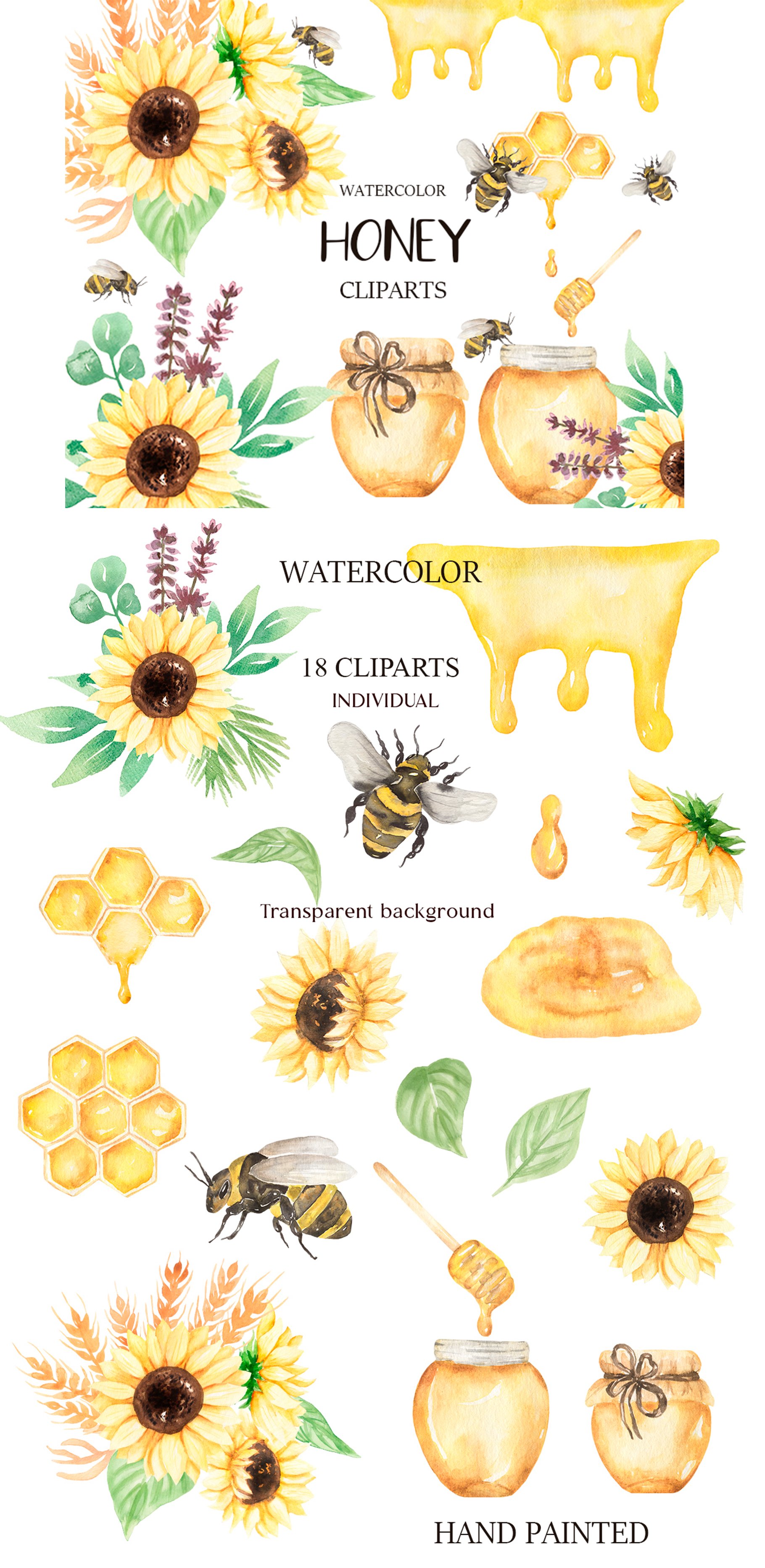 Watercolor Honey and Bee clipart set Bundle