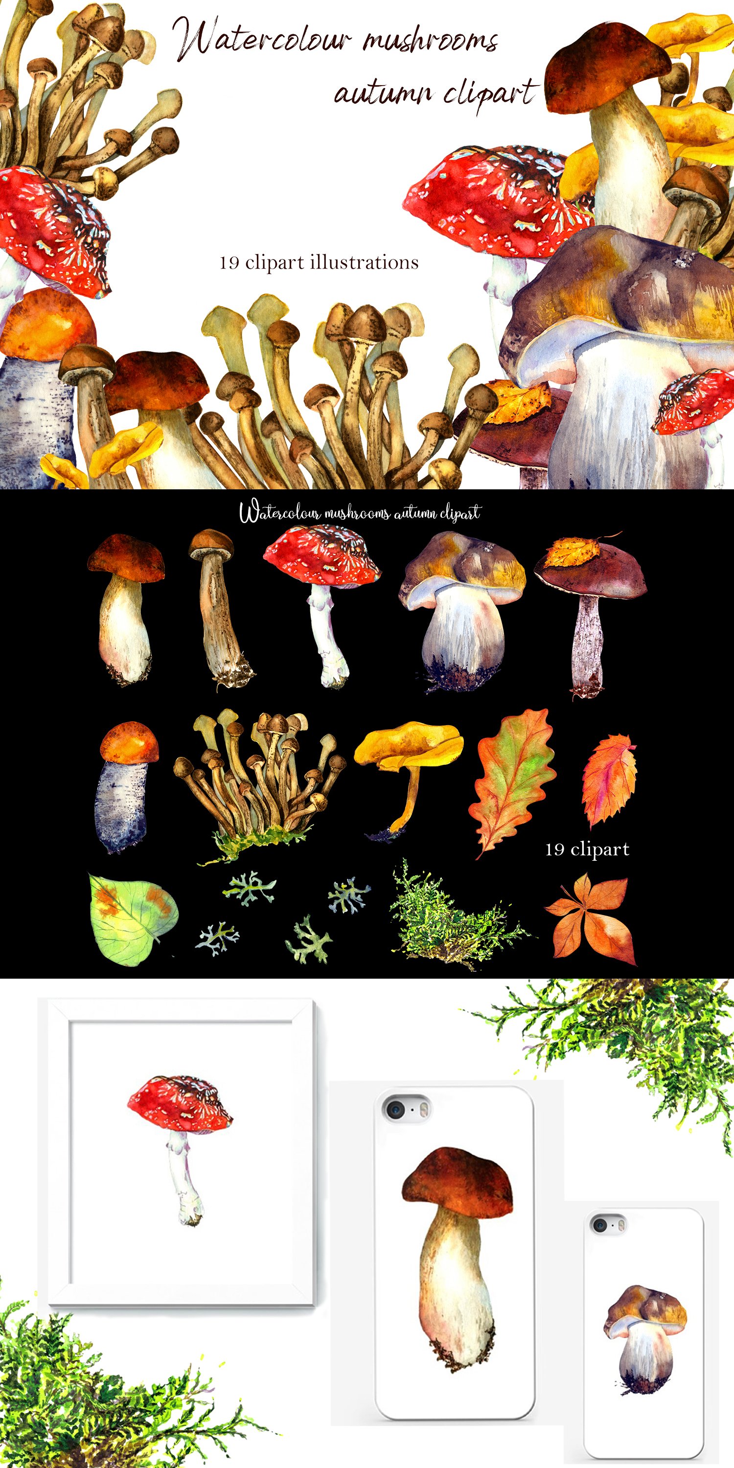 Watercolor forest mushrooms clipart, Autumn Clipart