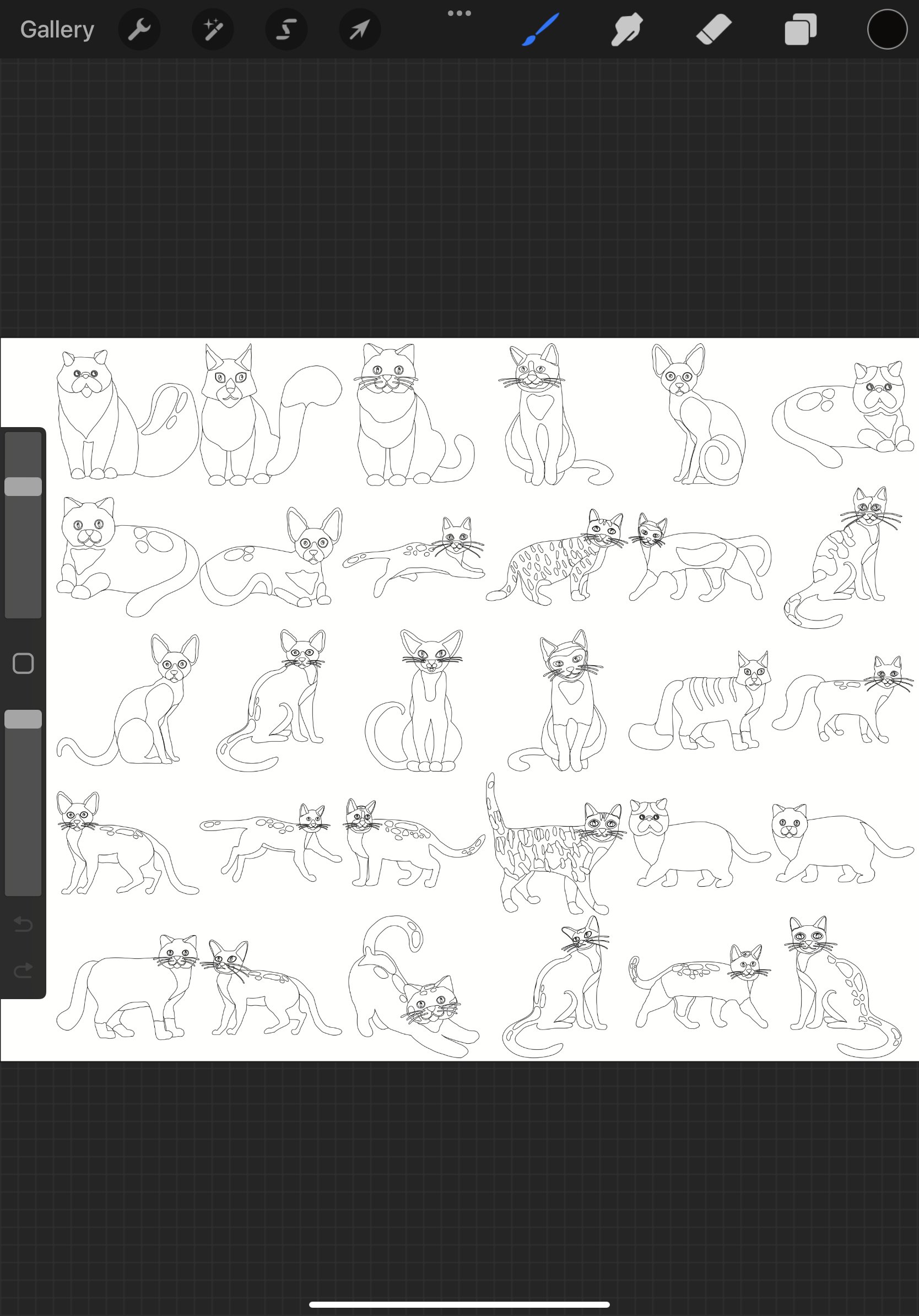 Cartoon Cats Outlines Set 1 Procreate Brush Stamps, 30 Cats