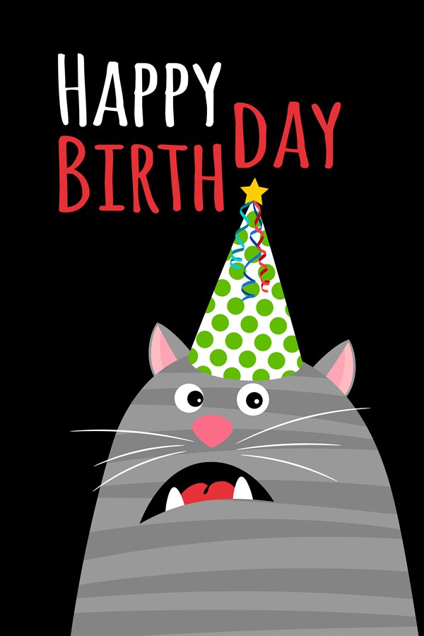 Happy birthday cat card (887855)
