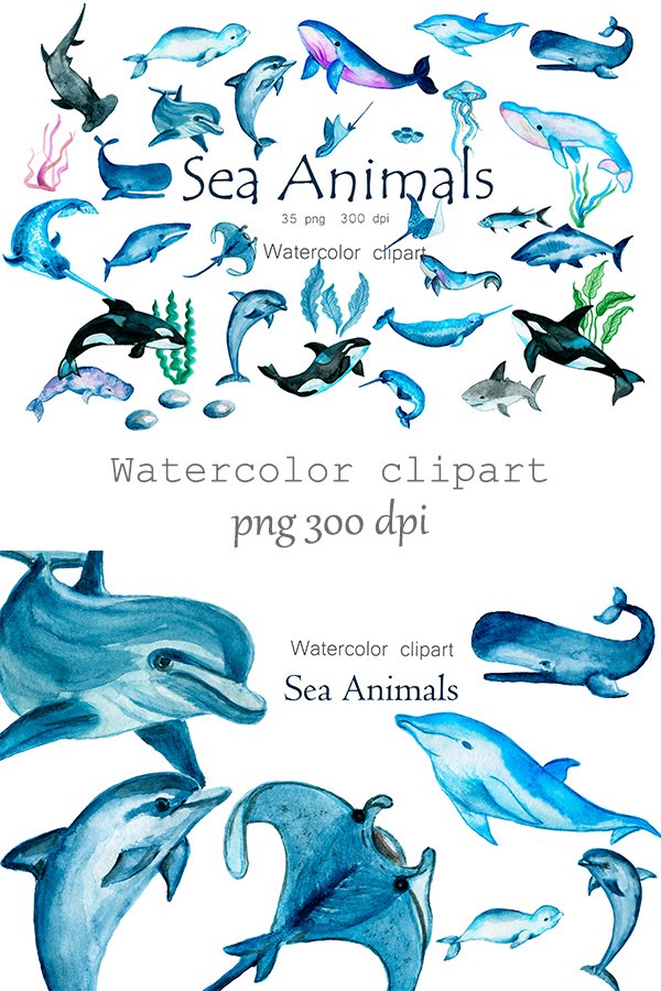 Watercolor whales Sea animals Watercolor Ocean (1147068)