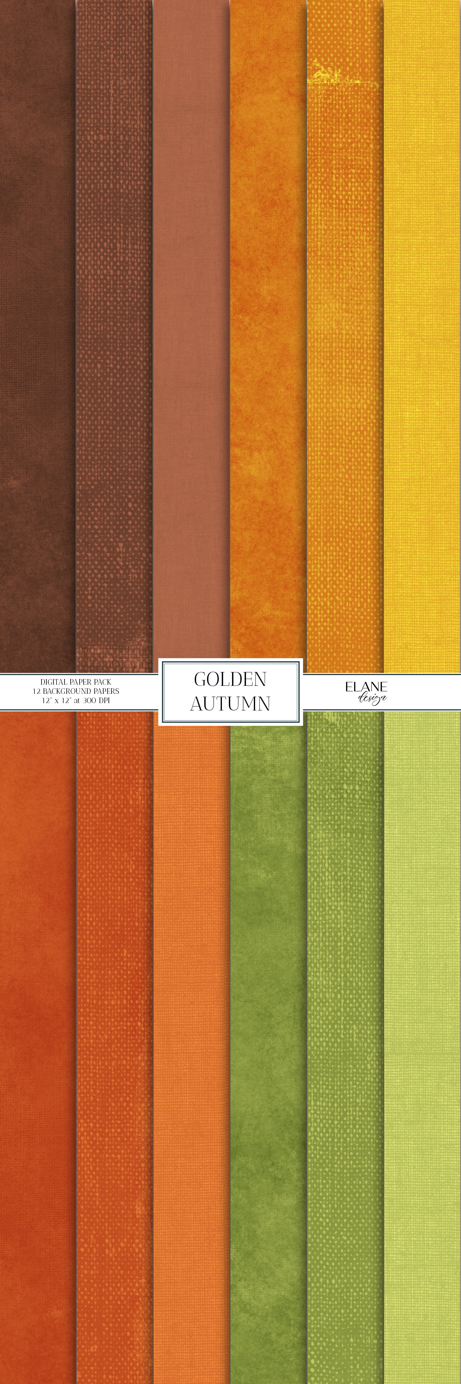 Autumn Digital Paper, Fall Colors Background, (4685147)