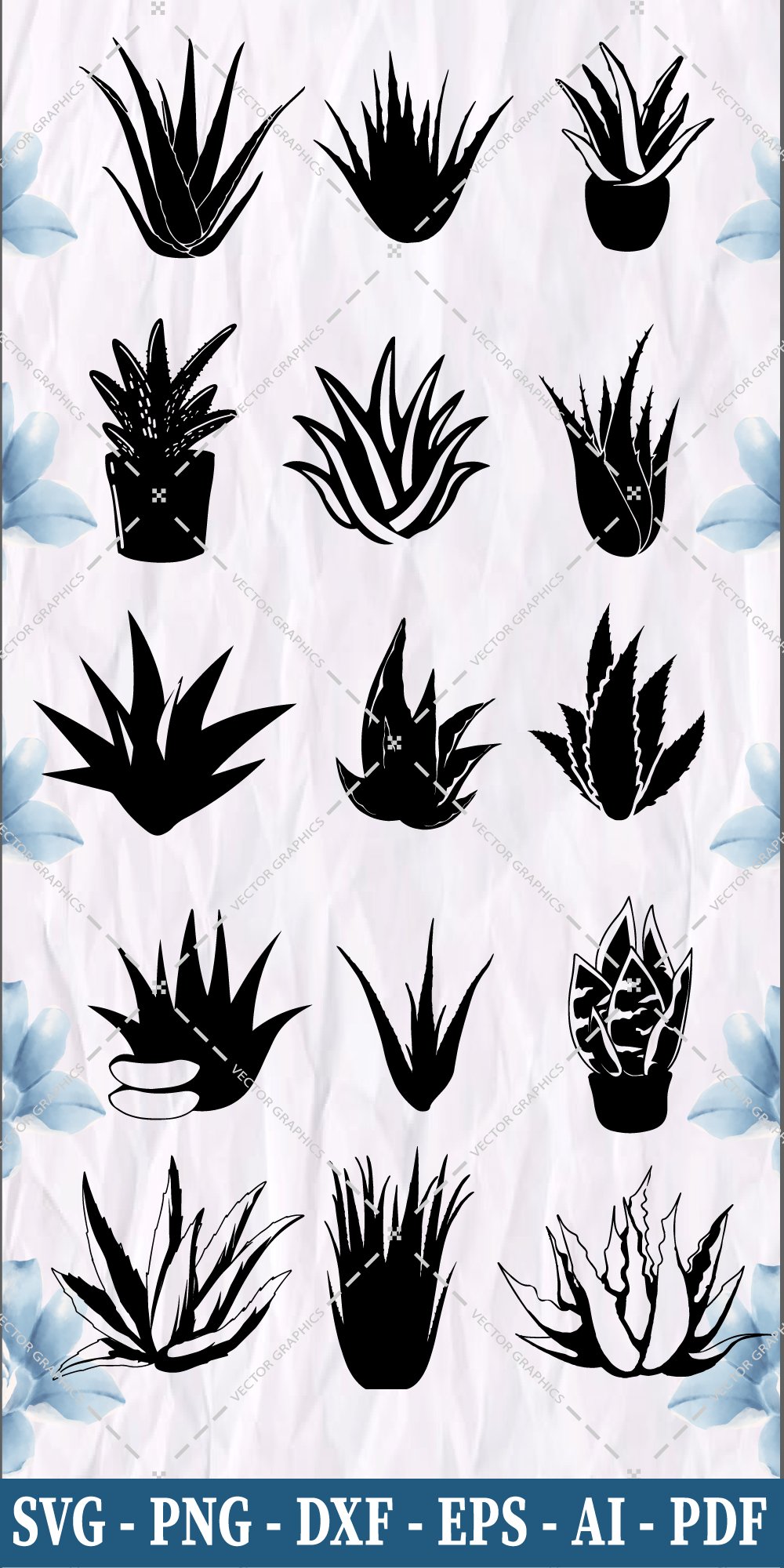 Aloe Vera SVG Bundle, SVG Files for Cricut, Plant Svg