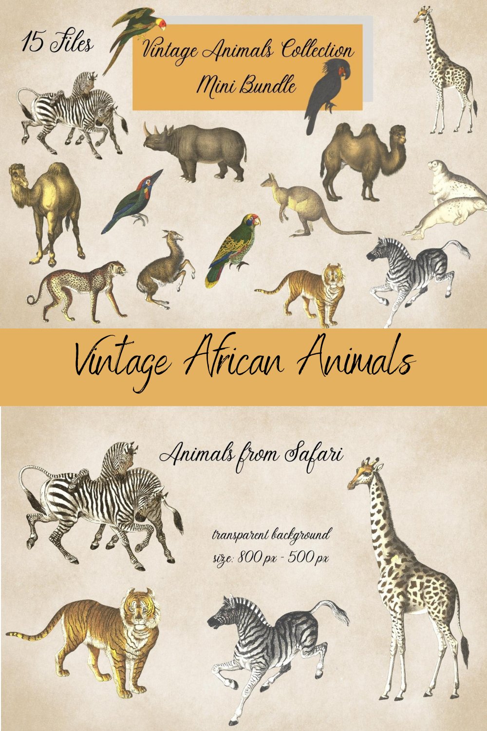Vintage Safari Animals, Parrots, Camel, Zebra
