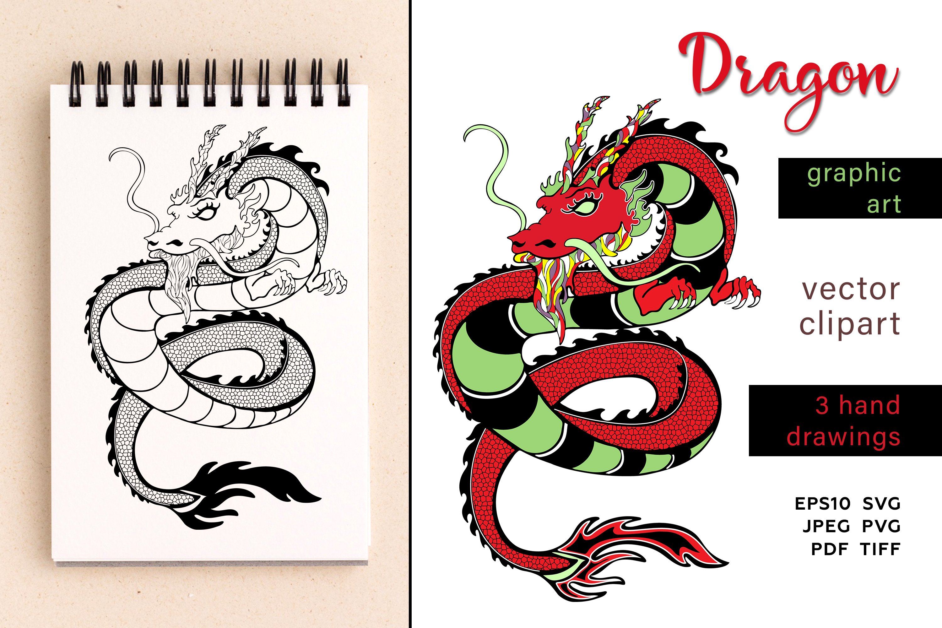 Dragon graphic art, vector illustration