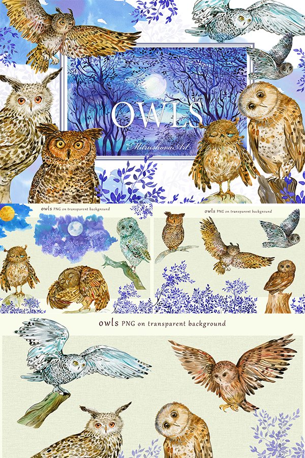 Owls Watercolor clipart Illustration