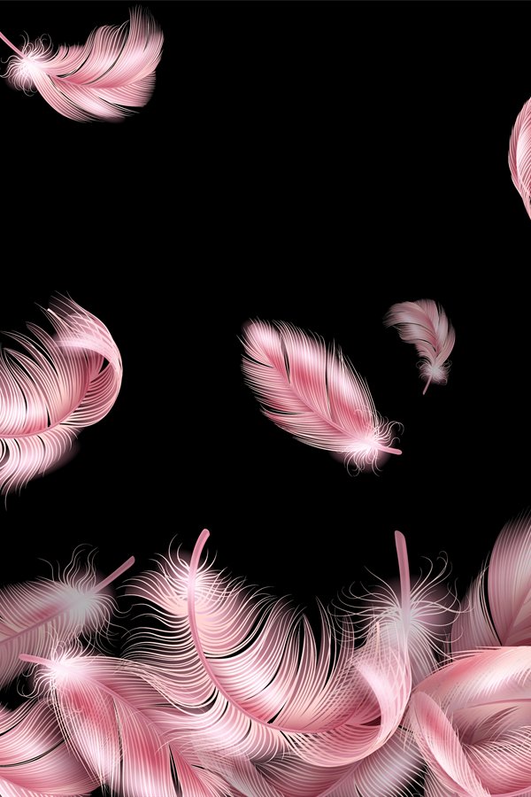 Pink feathers. Flying fluffy swan, falling flamingo 3d wings