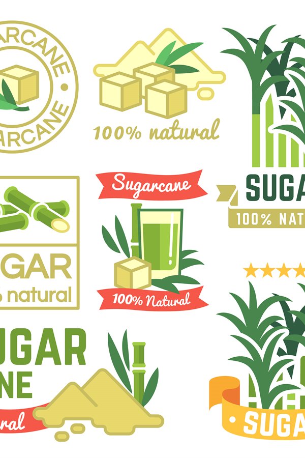Sugar production labels, sugarcane farm badges and emblems v