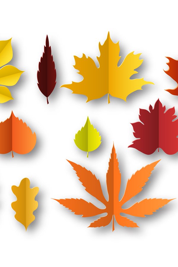 Paper autumn leaves. Beautiful fall colourful foliage. Orang