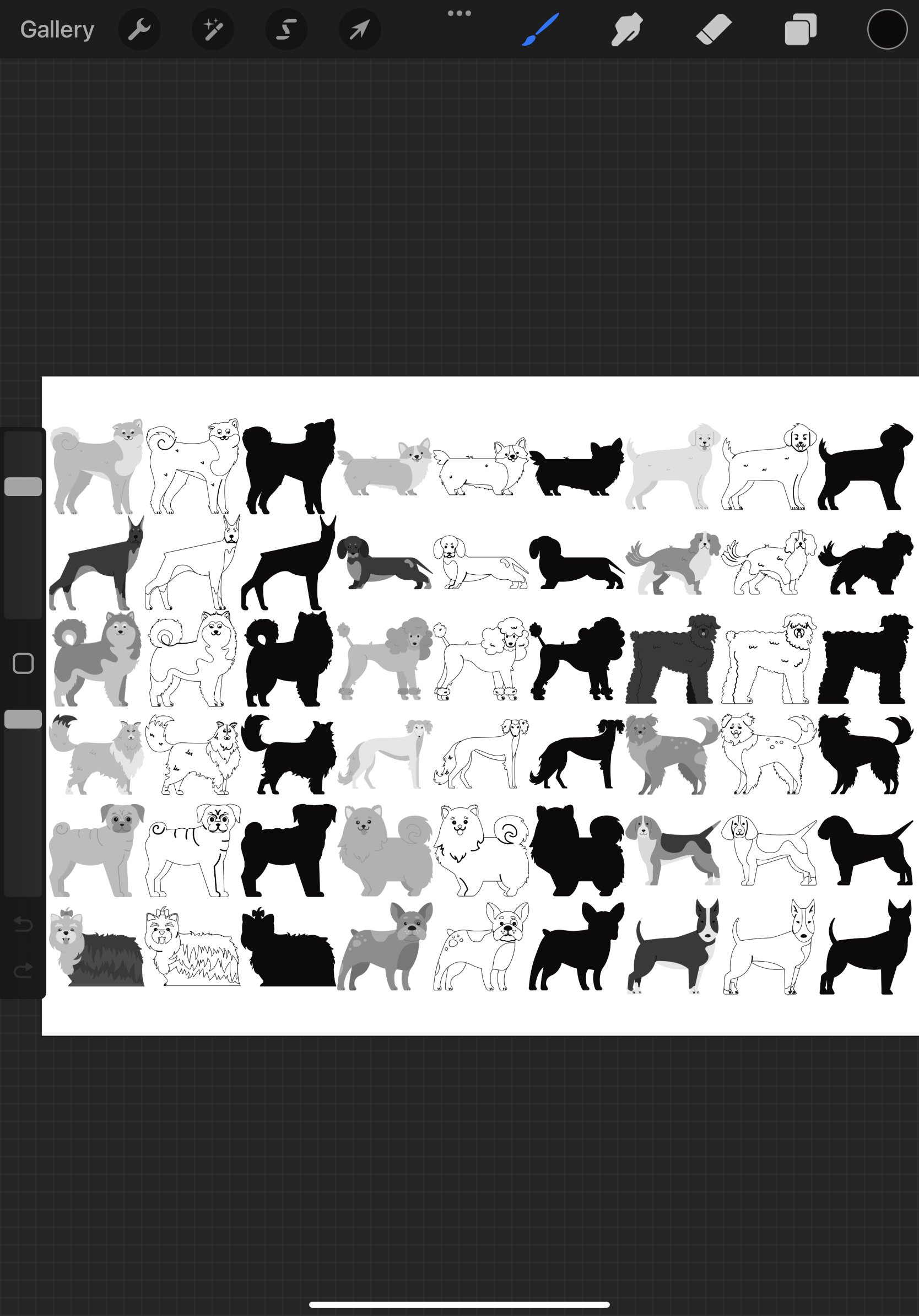 Cartoon Dogs, Outlines & Silhouette Procreate (2337605)