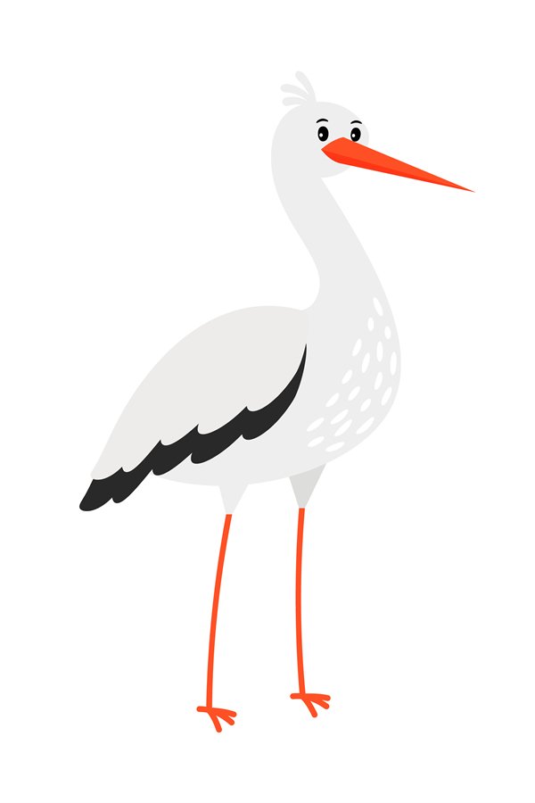 Stork cartoon bird