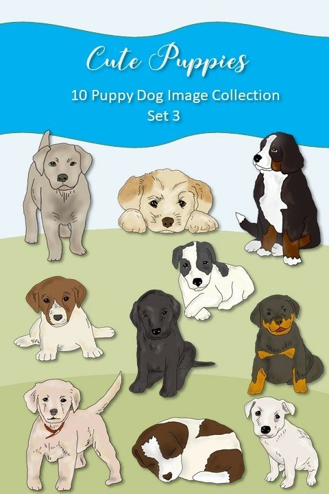 Cute Puppies Clipart Collection 10 Variations SVG (1677476)