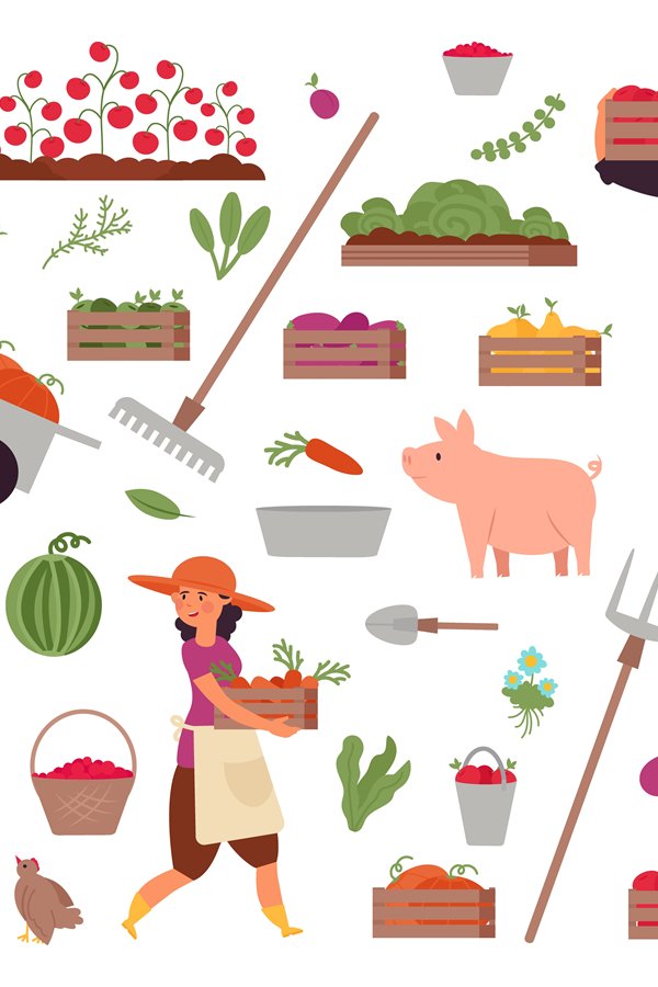 Cartoon agricultural and harvesting. Farmer crops, rustic ag