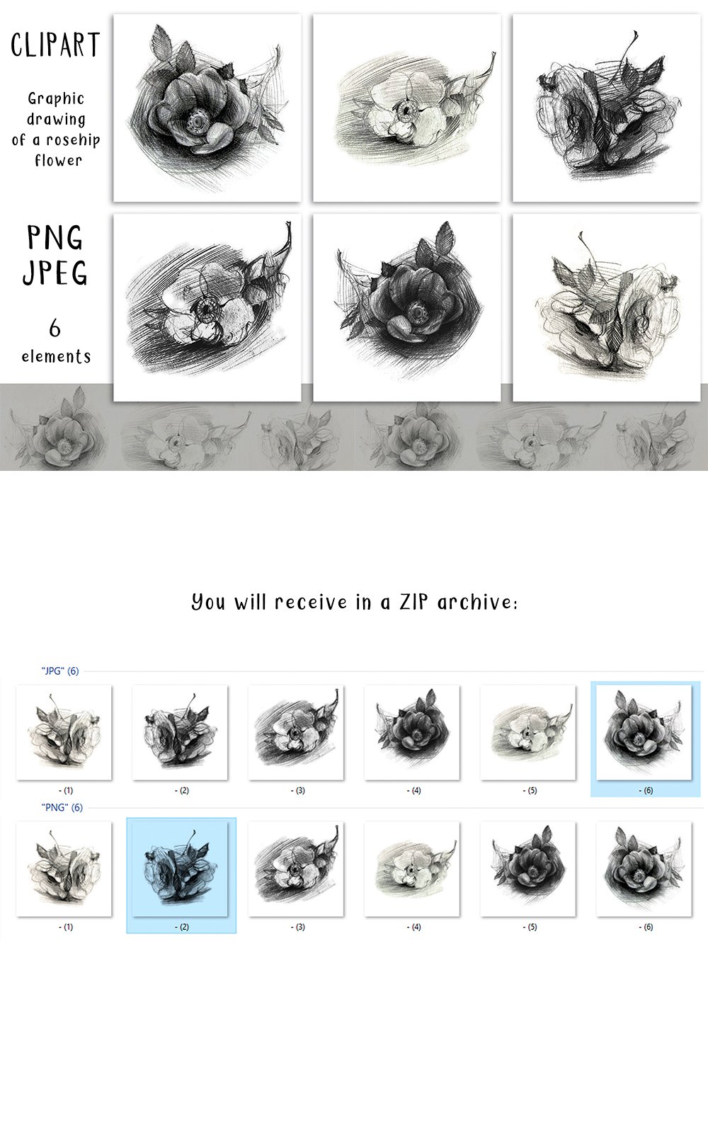 A clipart of 3 pencil drawings of rosehip flowers PNG,JPEG