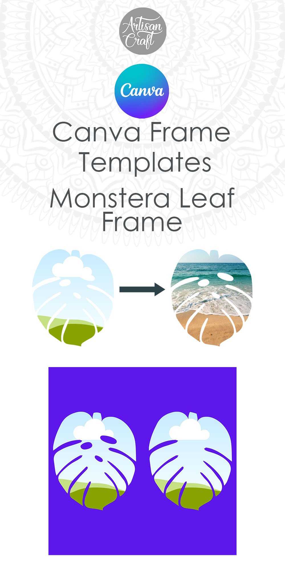Monstera Leaf Canva frame template | Canva frame