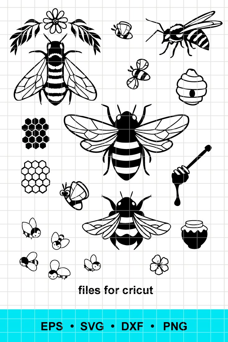 Bee and Honey Bundle Vector Clip Art