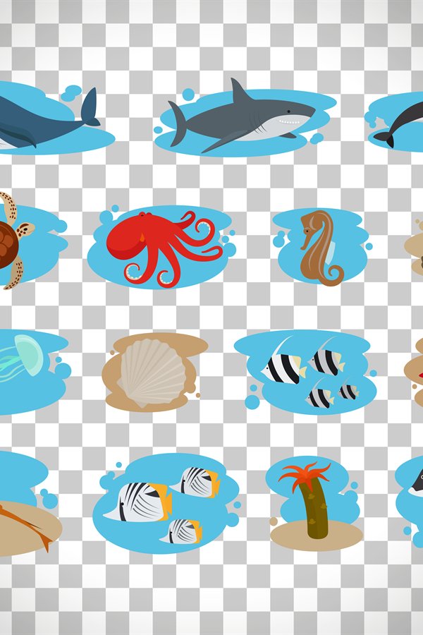 Sea animals set on transparent background