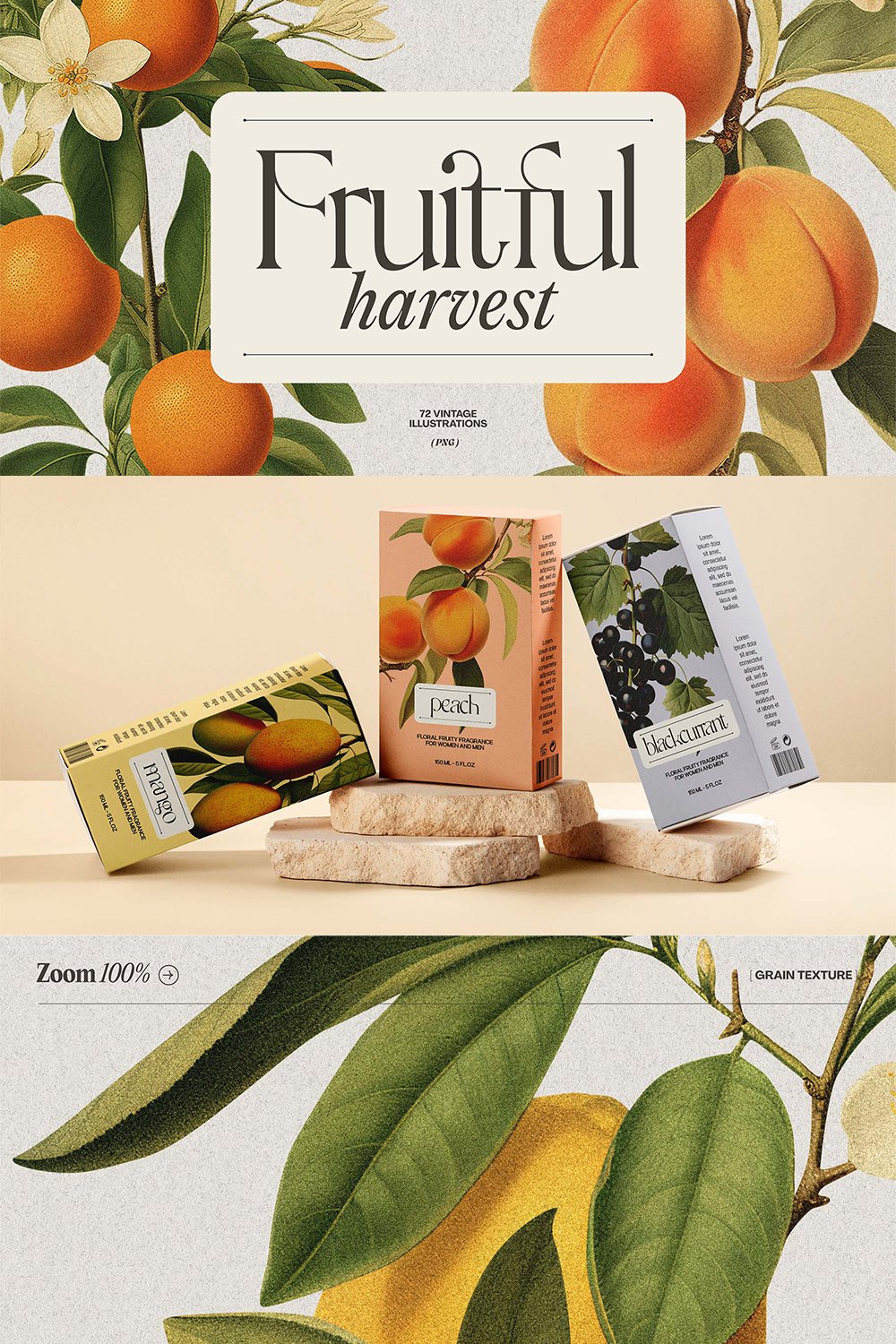 Fruitful Harvest - Vintage Illustrations