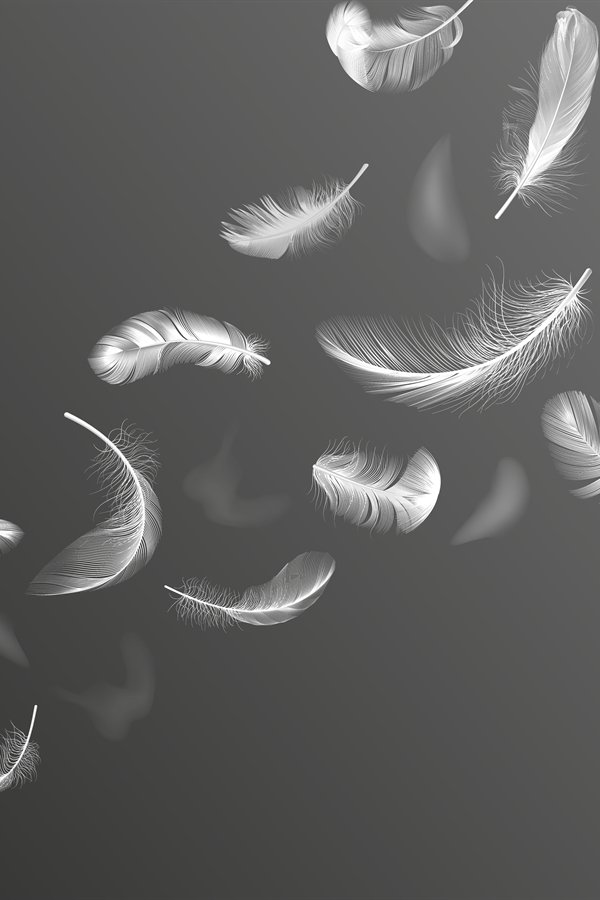 Fluff feathers. Realistic angel wings feather flow, falling