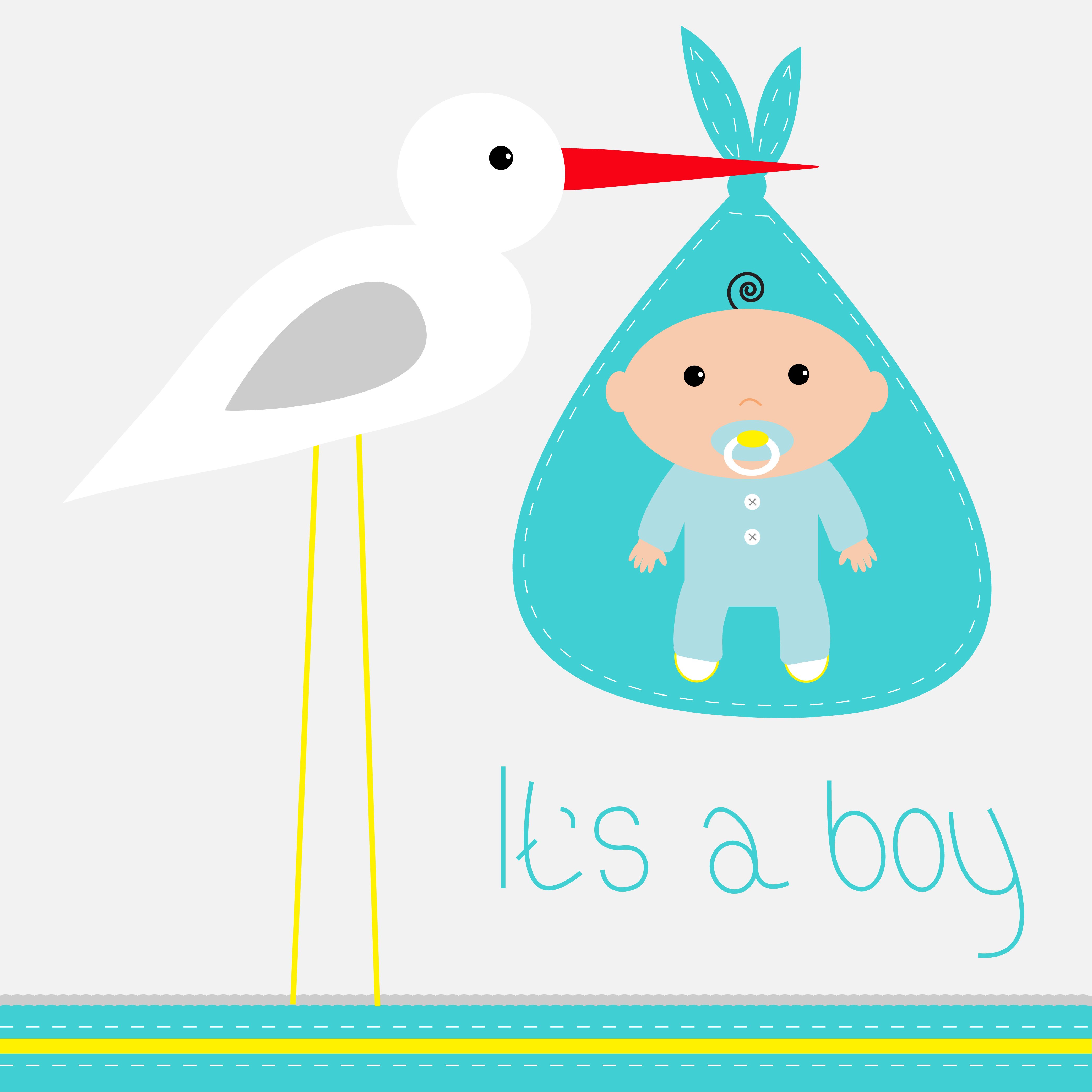 Its a boy. Stork with baby. Vector illustration