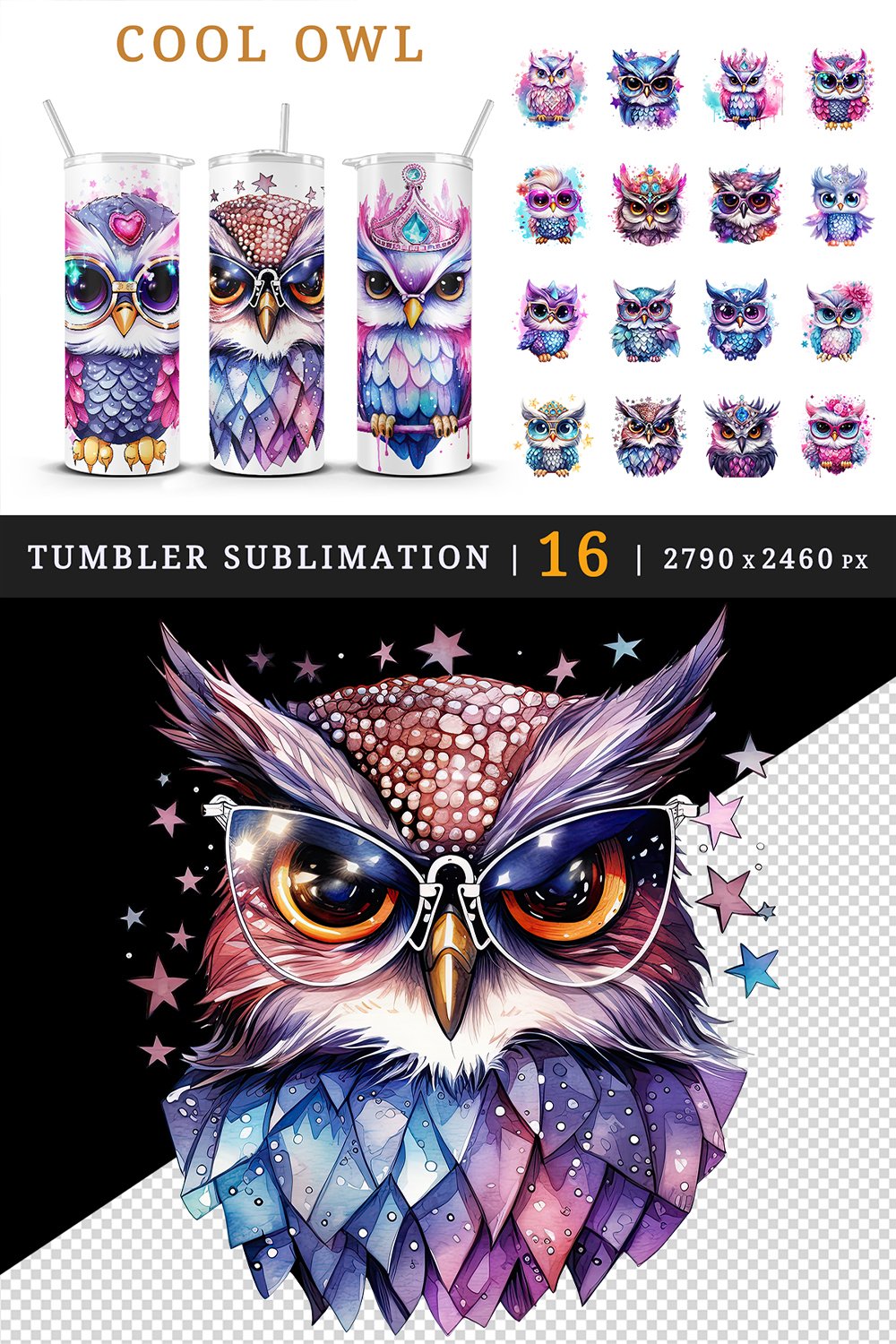 Cute cool owl 20 oz tumbler wrap sublimation designs bundle